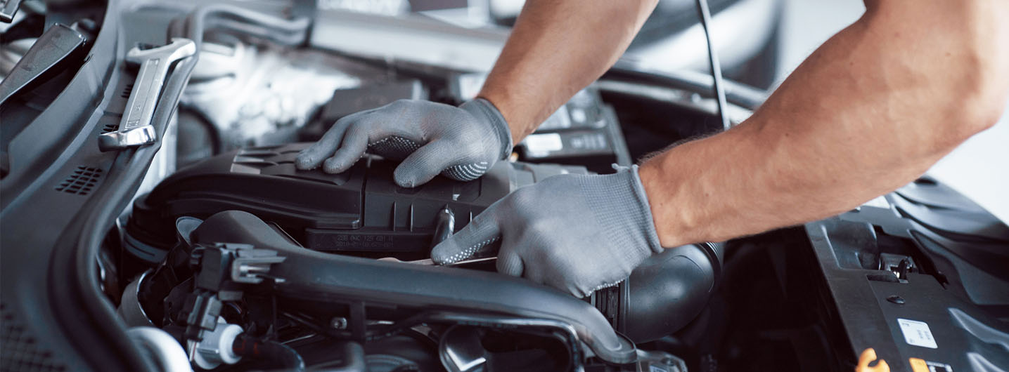 Advice for the Automotive sector | Van Oers